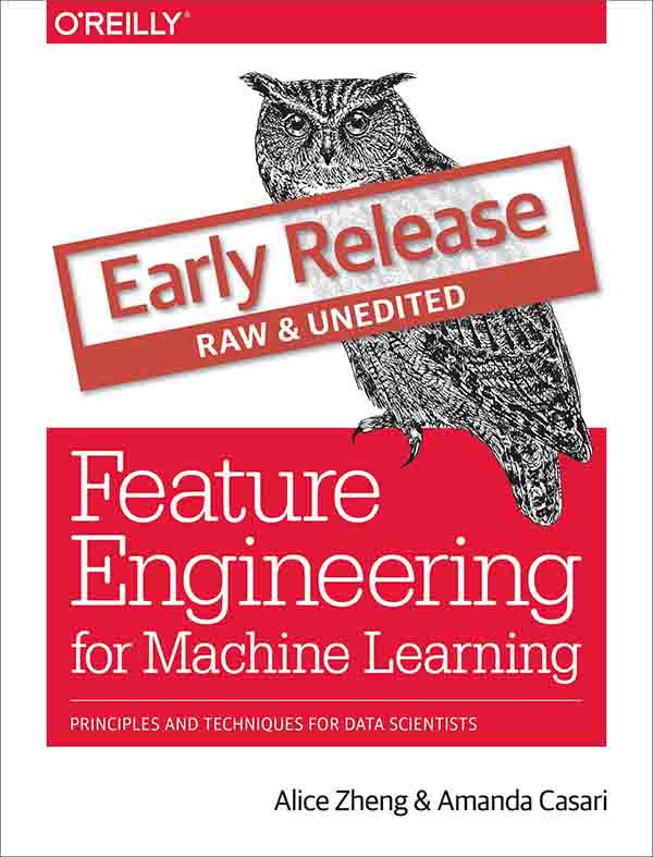原文（注册后可阅读）： Feature Engineering for Machine Learning (Early Release)